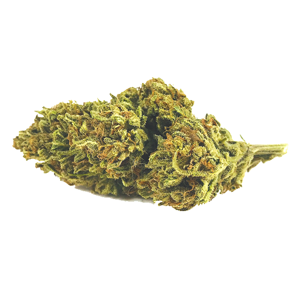 headlights – solo bud – swami select 2019 – Swami Select