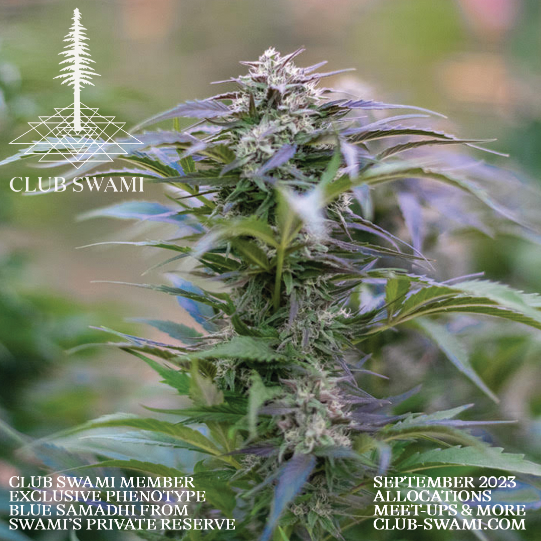 CLUB SWAMI SEPT 2023 1 – Swami Select